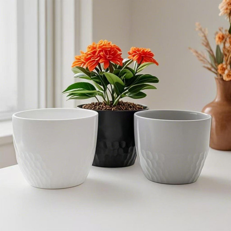 Ebern Designs 6in Assorted Modern Textured Polystone Planter - 3pc Set | Wayfair